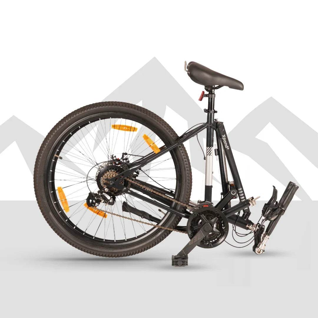 Collections – Hornback