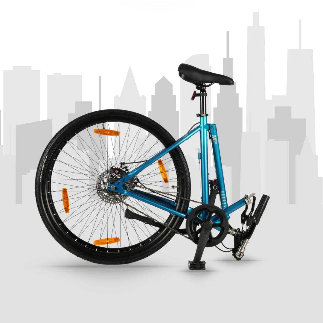 Collections – Hornback