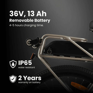 Hornback X1 Pro Electric Cycle