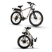 Hornback X1 Pro Electric Cycle