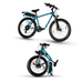 Hornback X1 Pro Electric Cycle